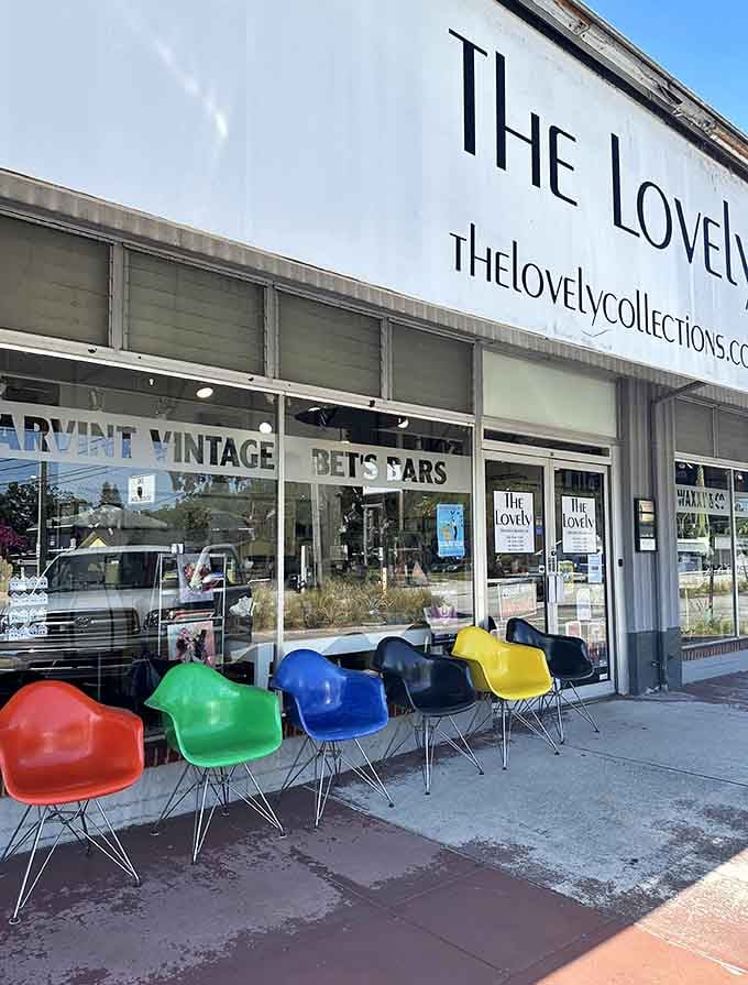 Colorful mid-century chairs lined up like a rainbow welcome committee&mdash;now that's how you make thrift shopping feel special and fun.