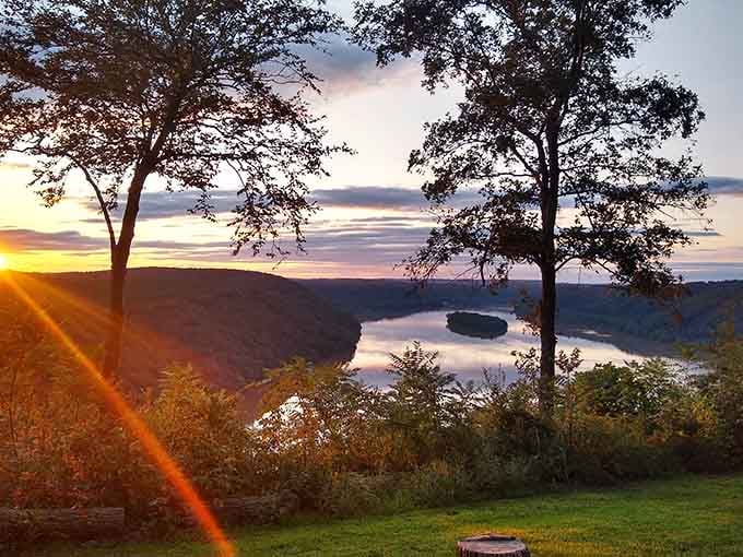 That golden sunburst through the trees frames the distant water perfectly, like nature hired a professional lighting designer.