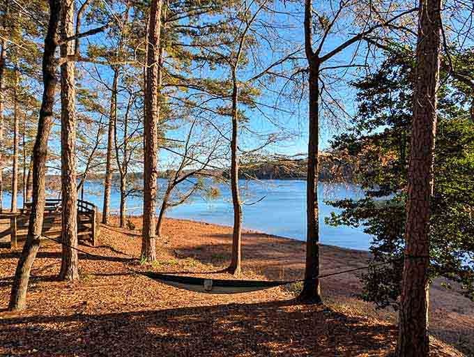 Tall pines frame the lake like nature's own picture window, offering shade and serenity in equal measure.