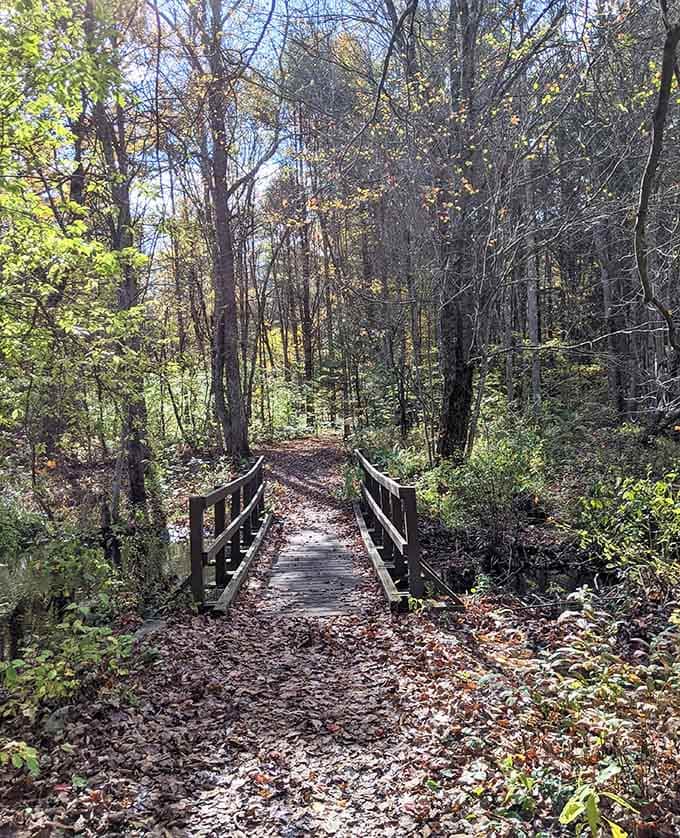 This charming footbridge crosses a babbling stream, leading adventurers deeper into woods that feel almost enchanted.