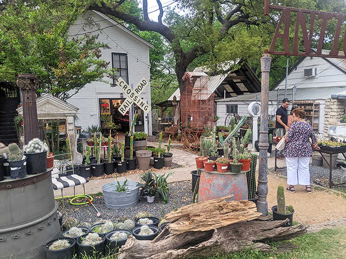 Cacti and vintage signs create an eclectic garden where Texas charm meets creative spirit in unexpected harmony.