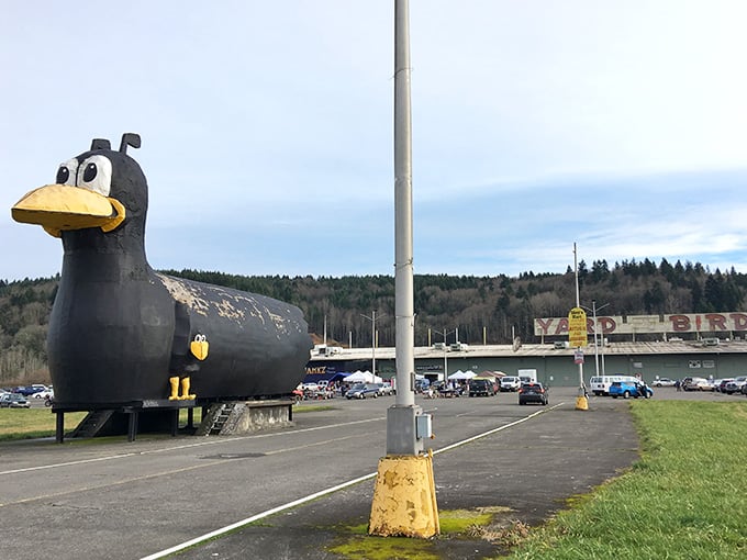 Those googly eyes have watched over countless shopping trips, becoming an unexpected landmark that locals genuinely treasure and adore.