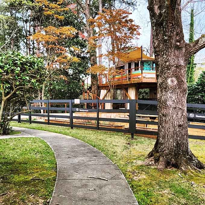 The pathway to your elevated escape—no yellow brick required, just good old Georgia concrete.
