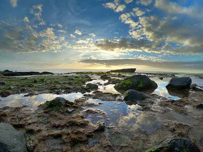 Low tide reveals a whole secret world that's been hiding under the waves all along.