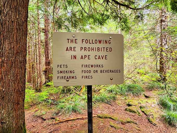 No pets, no fireworks, no food. Basically, the cave has better rules than most restaurants.
