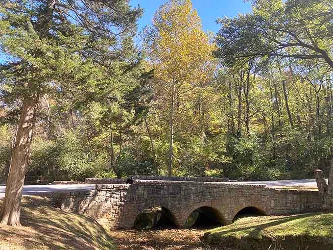 Stone bridges like this remind you that people built things to last before "planned obsolescence" became a thing.