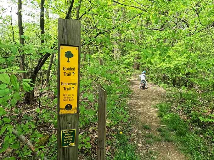 Trail signs that actually make sense, proving that getting lost in nature doesn't have to be part of the adventure.