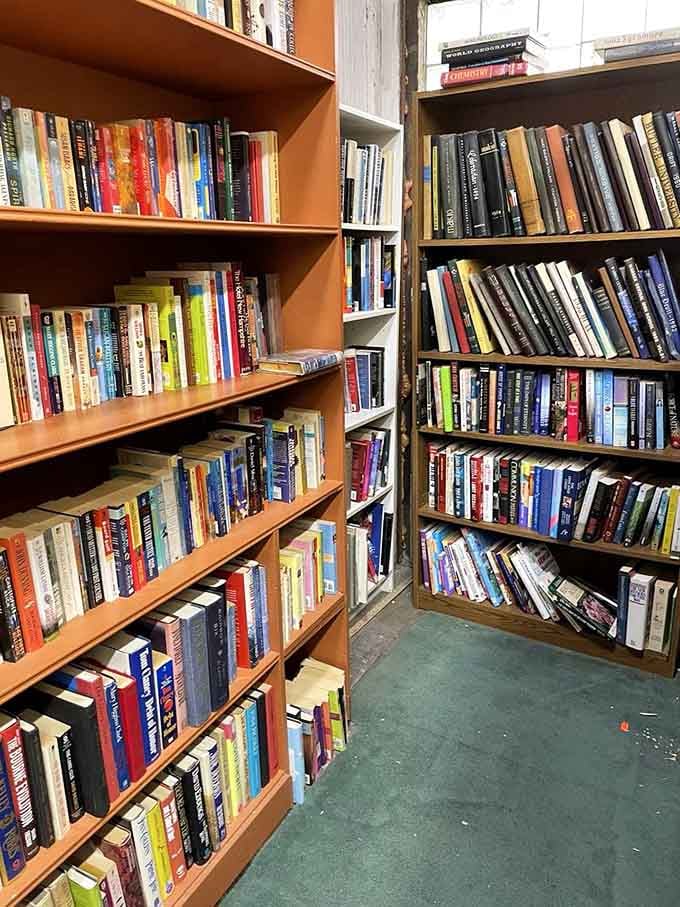 Floor-to-ceiling bookshelves prove that someone's abandoned reading list becomes your literary goldmine at thrift stores.