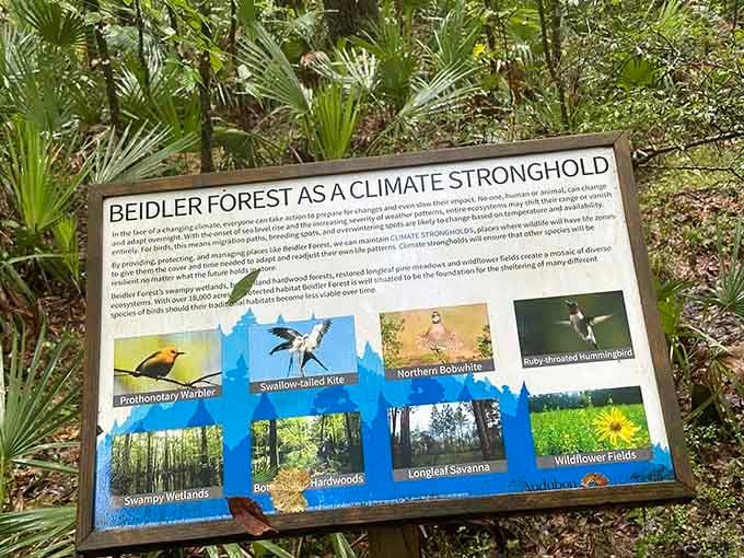 Educational and beautiful, this sign explains why these ancient wetlands matter more than ever in our changing world.
