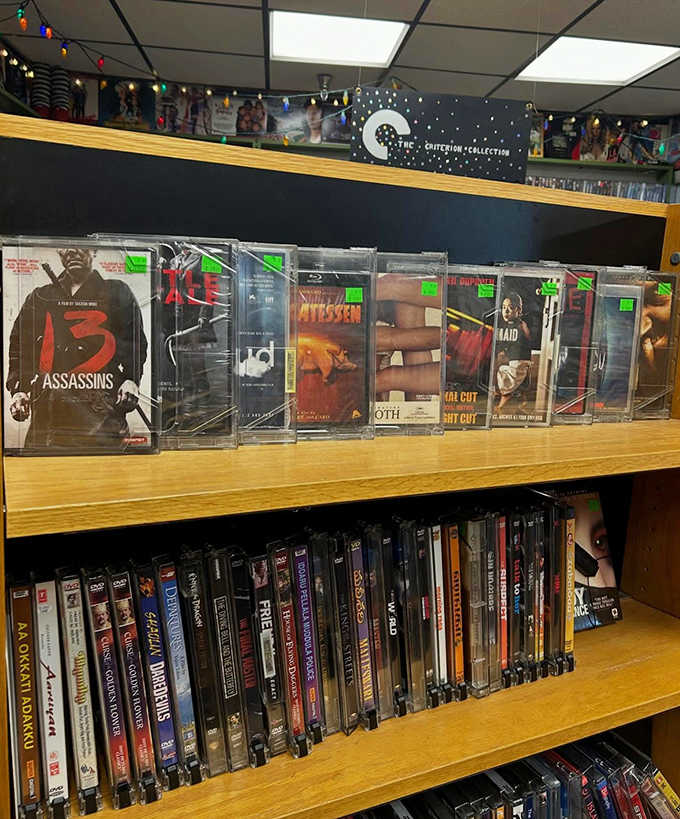 Even VHS tapes and DVDs find a home here, proving physical media refuses to go quietly.