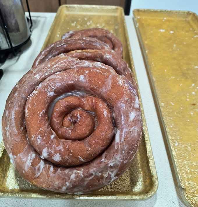This cinnamon roll could double as a throw pillow, except eating furniture is generally frowned upon in polite society.
