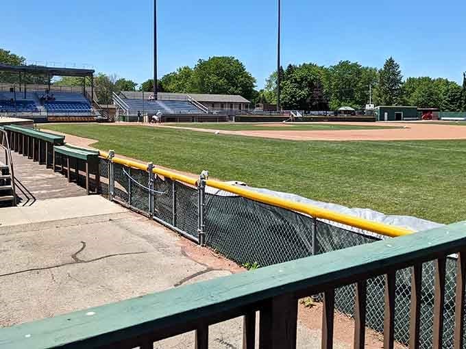 Telfer Park's well-maintained grounds offer the perfect spot for afternoon picnics without the crowds or parking nightmares.