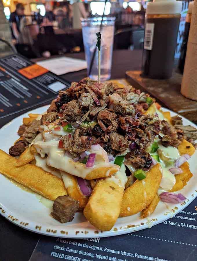 Loaded queso fries topped with smoked meat create a mountain of indulgence that laughs in the face of moderation.