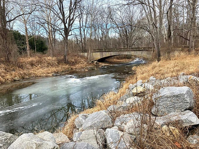 Autumn reflections on the creek create a mirror image so perfect it almost seems like nature's showing off now.