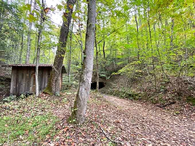 The train emerges from a rock tunnel like it's making a grand entrance at a theater.