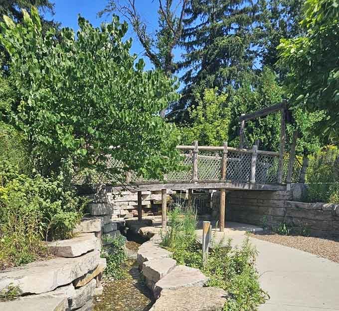 Little bridges over trickling water teach balance, patience, and the fine art of not getting your sneakers soaked.