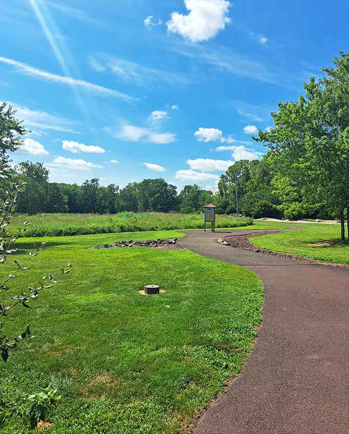 Paved pathways mean you can enjoy nature without requiring hiking boots or a survival guide to navigate safely.