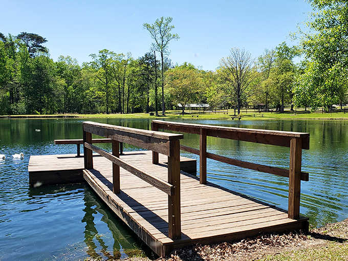 A quiet fishing dock where patience meets tranquility, and the view alone is worth the trip out here.