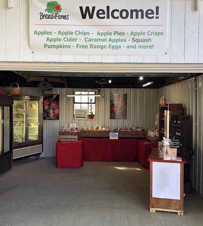 The farm store welcomes guests with fresh products, from apple treats to eggs laid that morning.