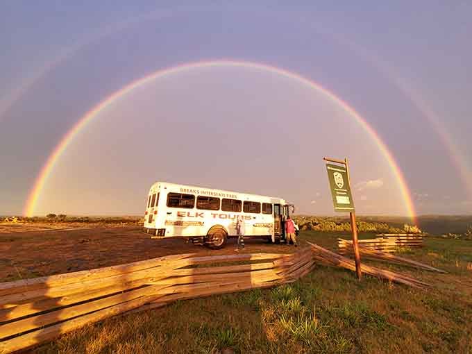That rainbow arching over the park like someone ordered the deluxe nature package with all the premium features included.