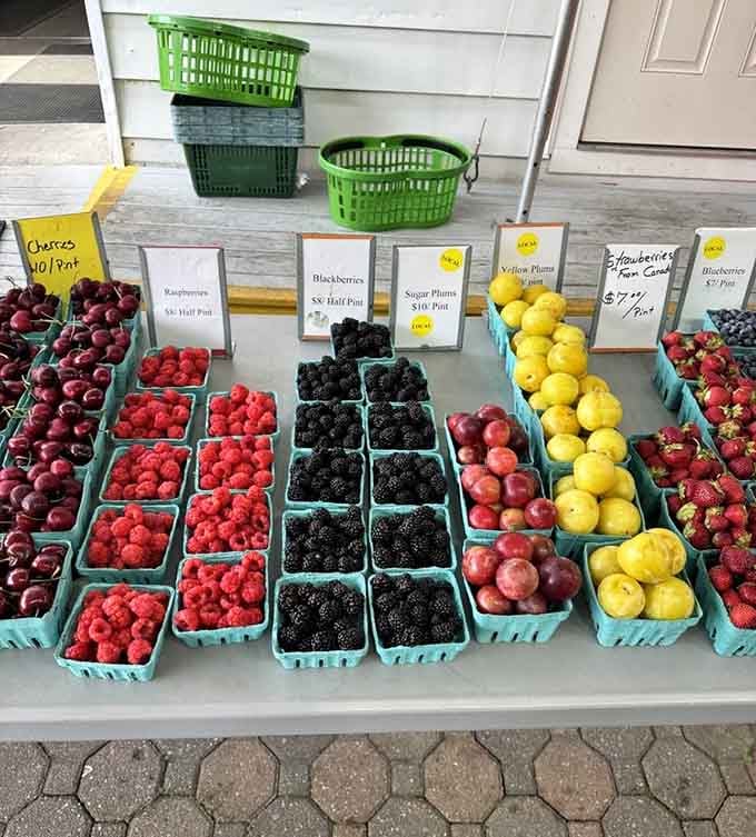 Summer's bounty displayed in perfect little containers: cherries, raspberries, blackberries, and plums waiting for their pie destiny.