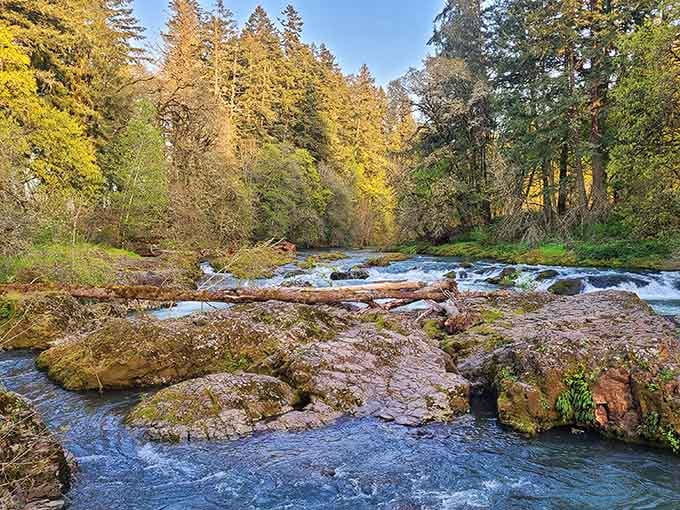 McKercher Park's river views remind you that Oregon's natural beauty doesn't require dramatic cliffs to be stunning.