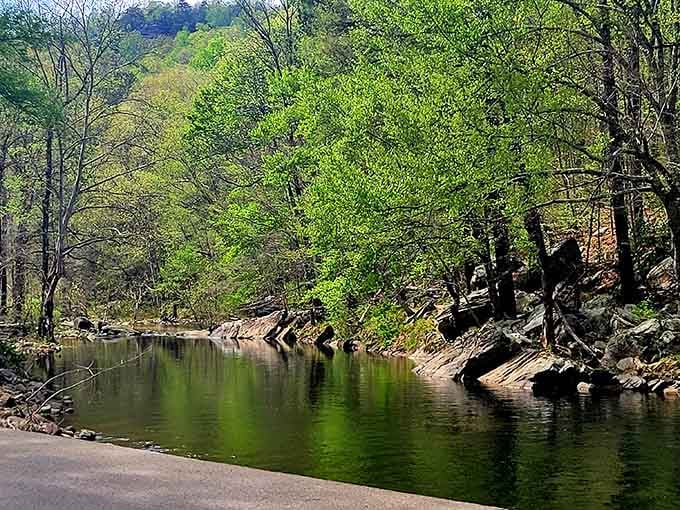 The South Fork Little River moves slower than your morning routine, and it's all the better.