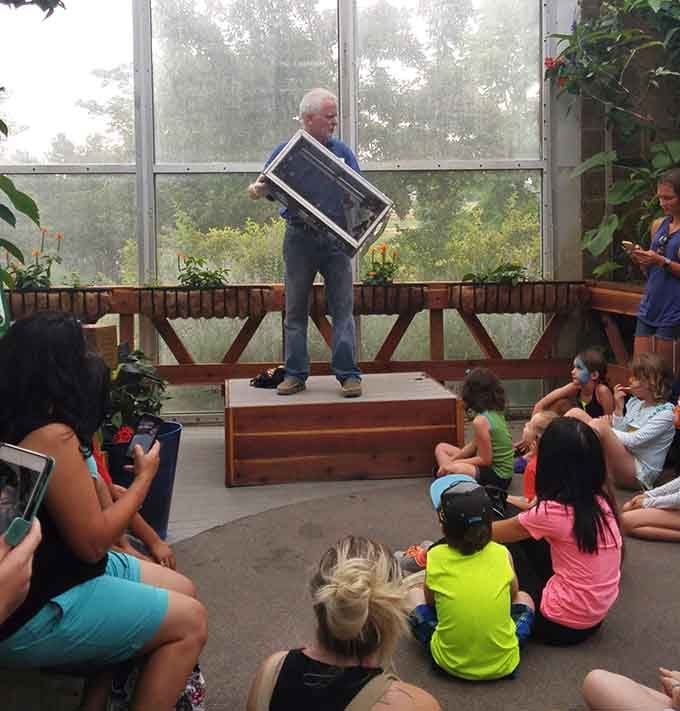 Educational presentations happen throughout the day, teaching visitors that bugs are friends, not foes—mostly.