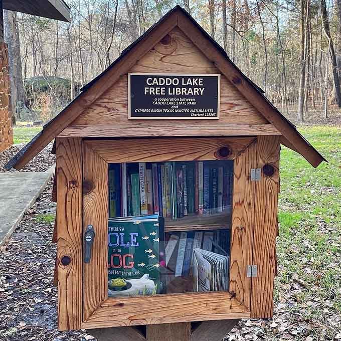 Even the Little Free Library gets the rustic treatment here, because reading about nature beats scrolling through your phone.