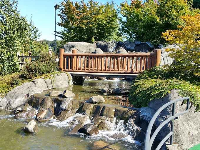 Rustic bridges over flowing water create picture-perfect moments between your attempts at par.