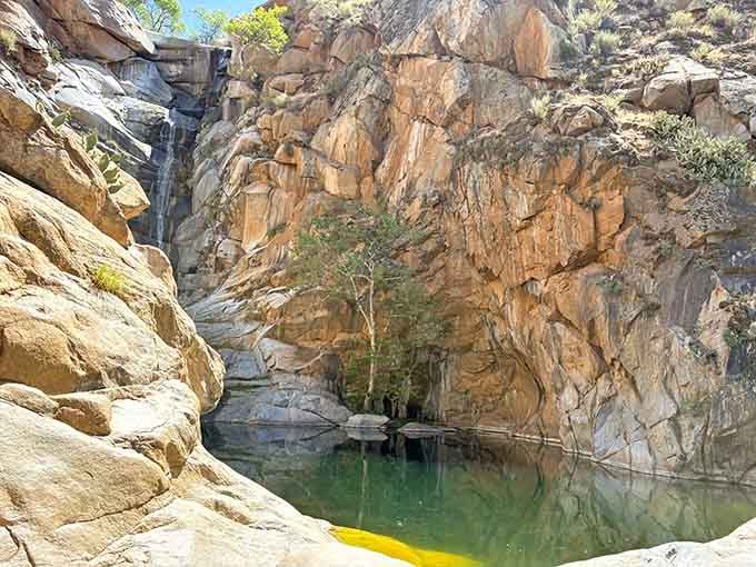 The canyon opens up to reveal layers of geological history, each rock telling stories older than your favorite sitcom reruns.