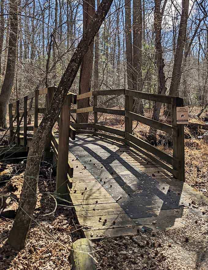 Charming wooden bridges cross streams, making you feel like you're in a storybook minus the trolls.