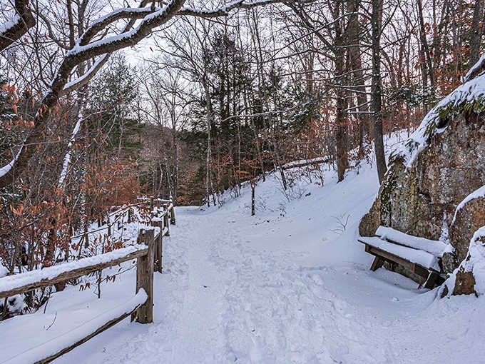 Snow-covered trails offer a completely different adventure, though proper footwear becomes significantly less optional in these conditions.
