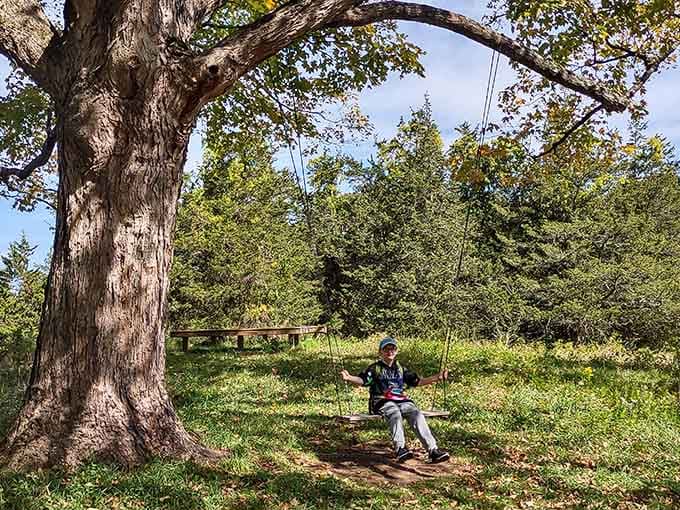 A rope swing under ancient trees, because childhood joy has no expiration date.