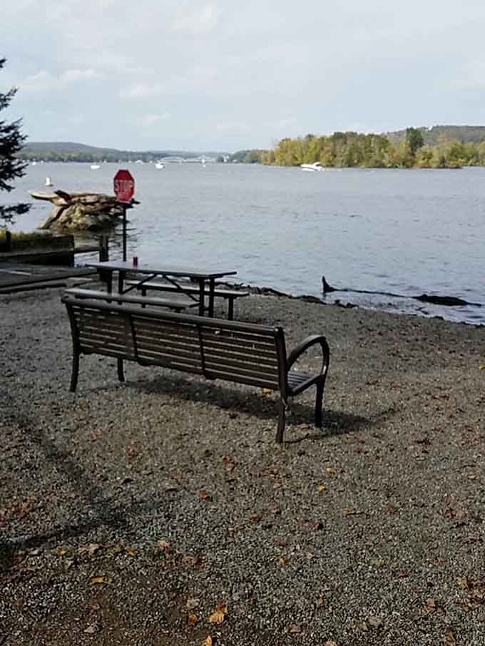 Parker's Point offers riverside seating where the biggest decision you'll face is which view to admire first.