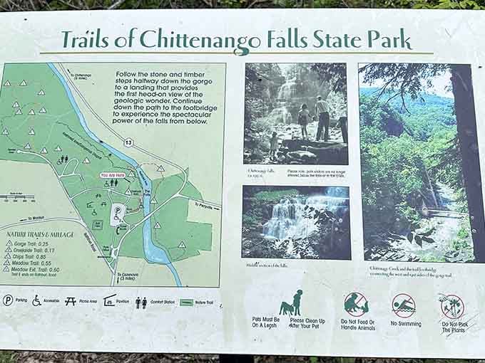 Study this trail map before you go, unless you enjoy the adventure of getting creatively lost in the woods.