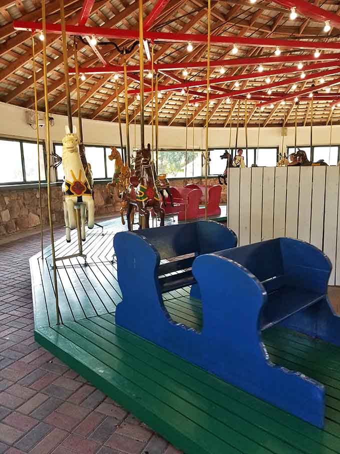 Blue benches for those who prefer their carousel experience without the up-and-down motion, thank you.