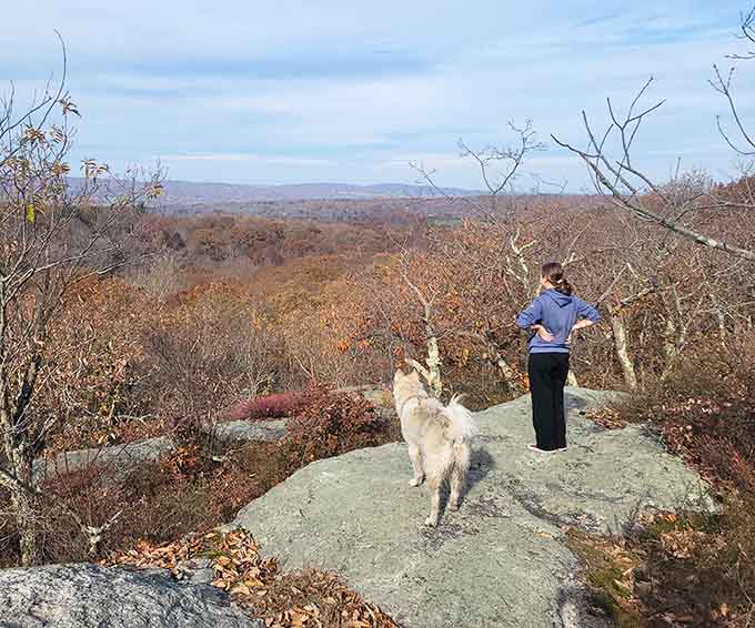 Panoramic views from the overlook stretch for miles, rewarding those who tackled the uphill sections bravely.
