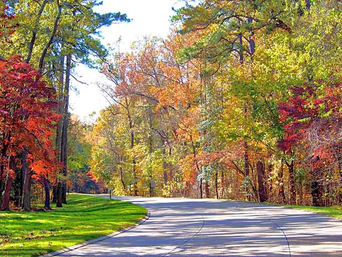 Fall foliage turns the parkway into a kaleidoscope of color that rivals any New England autumn display.
