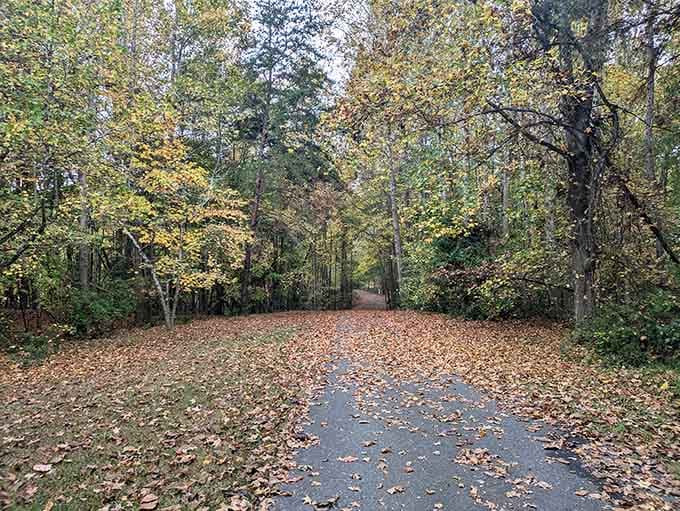 Fall foliage transforms the island's paths into something straight out of a New England postcard.