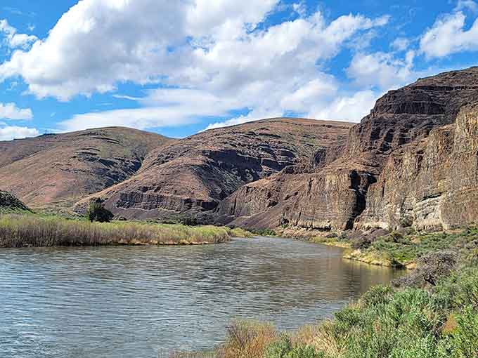 Those layered basalt cliffs frame the river like a geological work of art millions of years in the making.