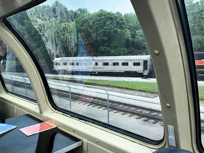 Dining car windows frame the passing scenery like a constantly changing art gallery you can eat in.