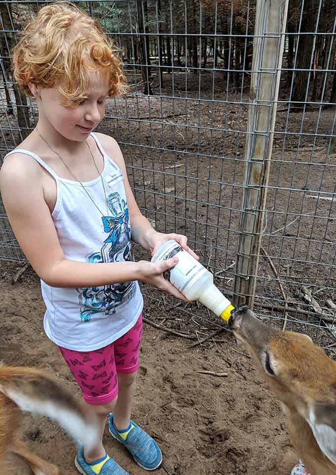Bottle-feeding baby animals creates memories that outlast any video game high score your kids will ever achieve.
