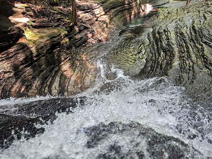 Fresh mountain water rushes over moss-covered rocks, providing the soundtrack to your own personal nature documentary experience today.