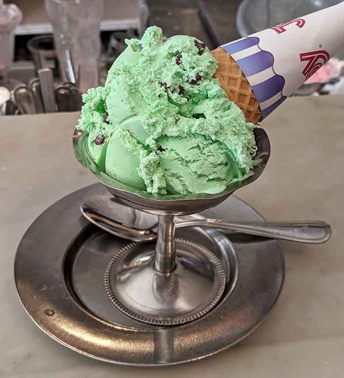 Mint chip green so vibrant it looks like springtime decided to become ice cream and succeeded spectacularly.