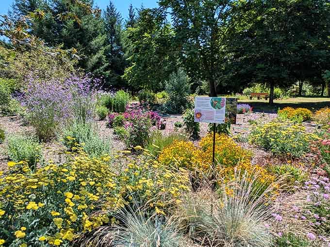 Community gardens bloom with the kind of colors that remind you why people still plant things by hand.