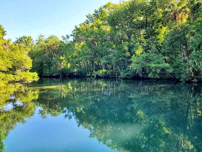Water so clear it makes you question whether you've been swimming in swamp juice your entire life.