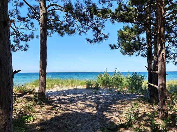 Framed by towering pines, the beach beckons like a secret garden where sand replaces flowers and waves provide the soundtrack.