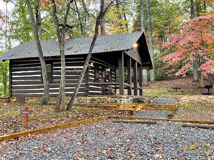 Cabins provide the wilderness experience without sleeping on rocks or fighting raccoons for your snacks.