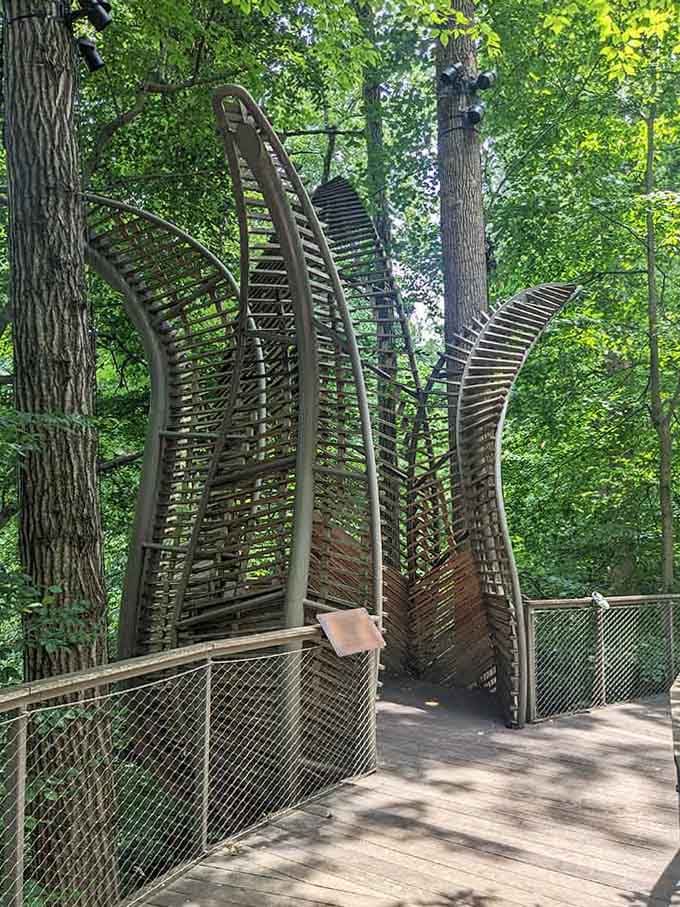 Modern art meets ancient forest in a collaboration nobody knew they needed but everyone secretly loves.